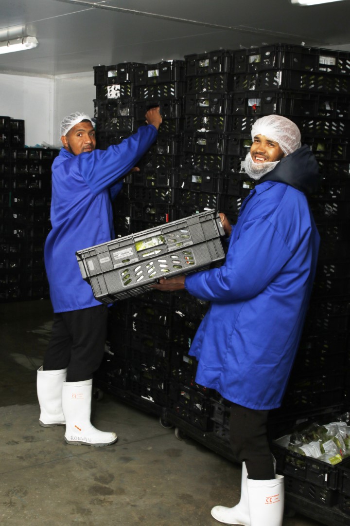 Active Team Members of the Madron Farming